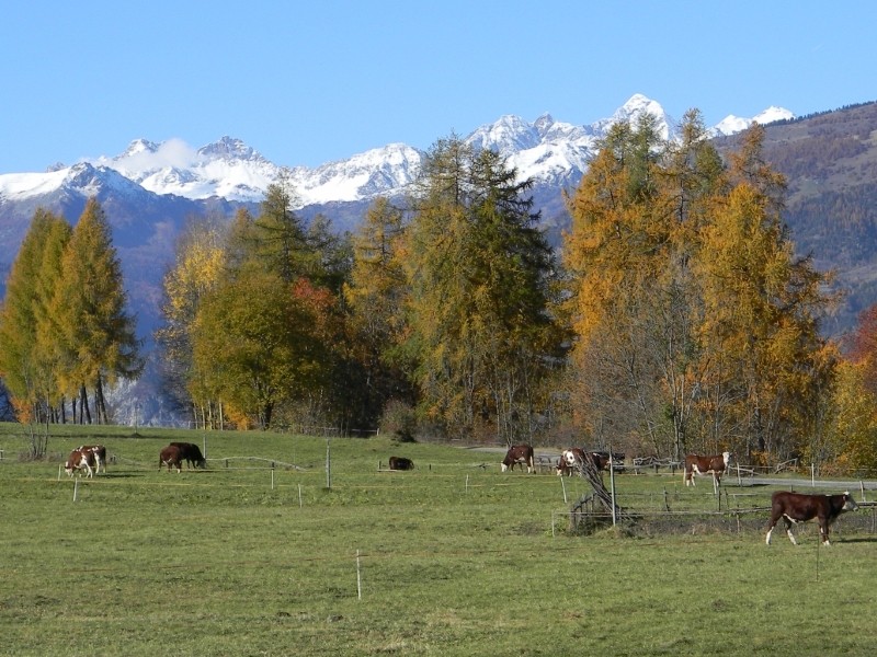 L’ESCURSIONE DELLA SETTIMANA: Il Col d'Arlaz (Emarese ...