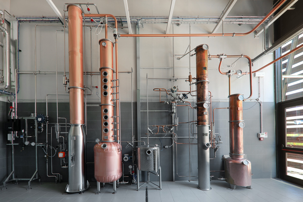 La Distilleria Saint-Roch guarda ad un futuro fatto di qualità ...